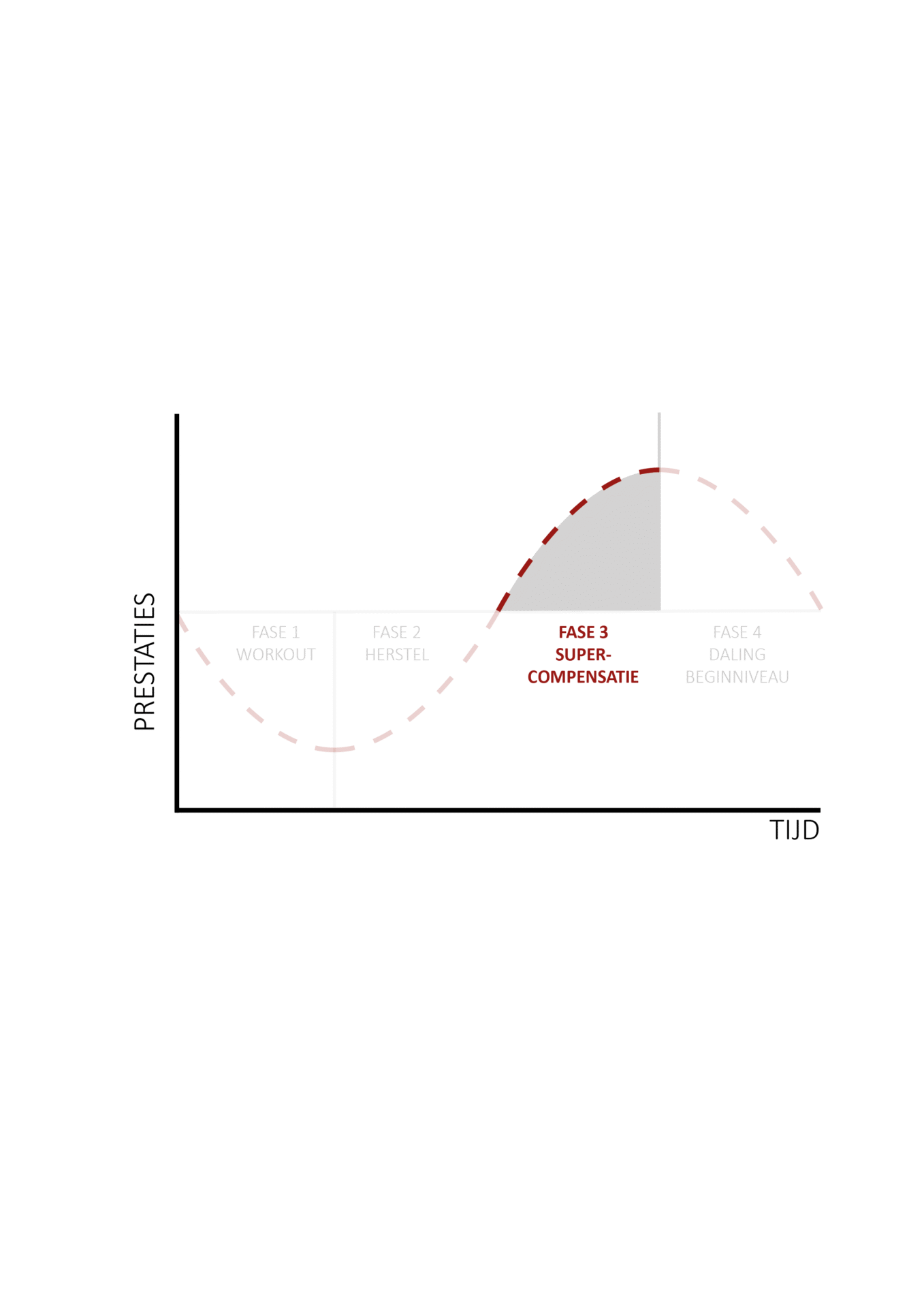 See me Fit | Supercompensatie
